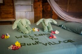 Sri Lanka - Kitesurfen in Kalpitiya | lustloszugehen.de