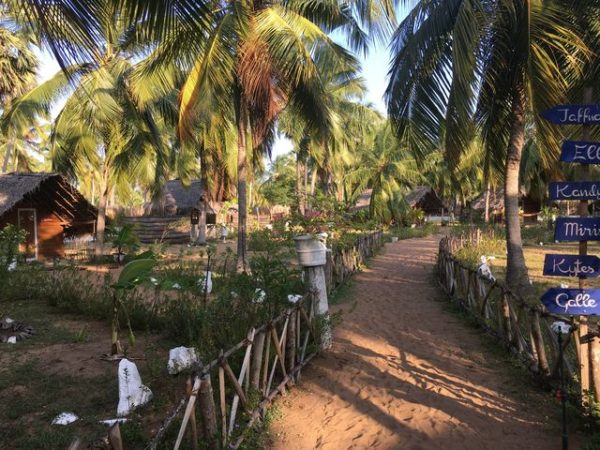 Sri Lanka - Kitesurfen in Kalpitiya | lustloszugehen.de